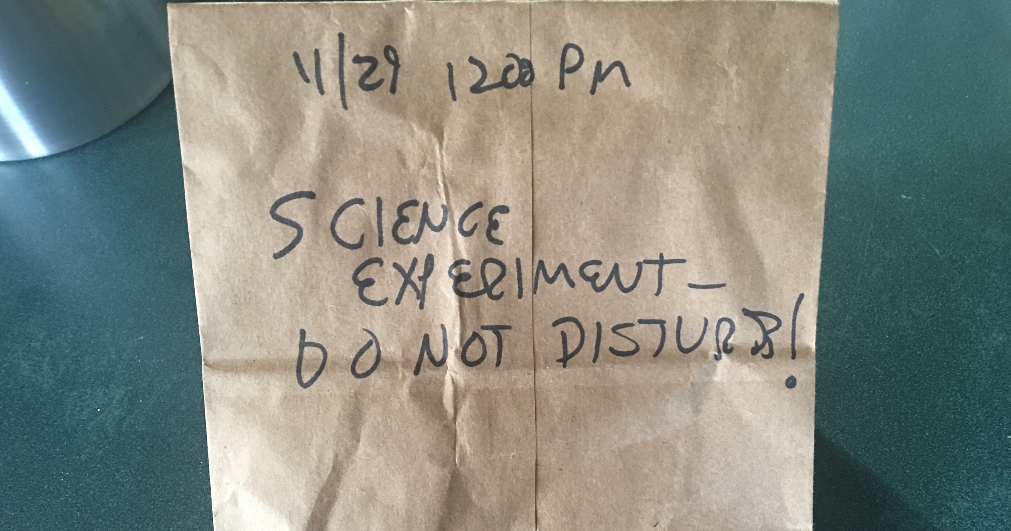 Recipe: Paper Bag Sourdough Starter - Burnt My FingersBurnt My Fingers